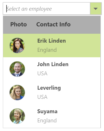 Aspnet Combobox Control With Editable Option Syncfusion
