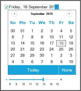 Advanced Date-Time Picker Control for Windows Forms | Syncfusion