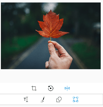 Xamarin Image Editor | Powerful Image Editing Control | Syncfusion