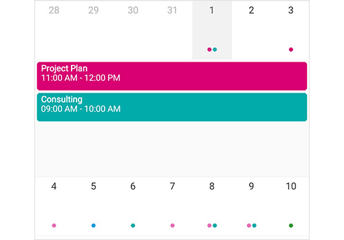 Appointments (Events) | Xamarin Scheduler Control | Syncfusion